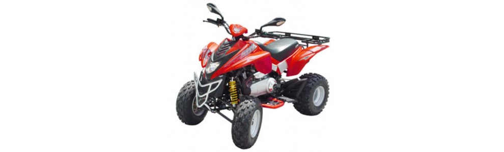 DINLI DL 801 350cc - Mondomotor
